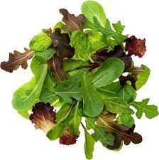 FRESH SPRING MIX 3LB – Mia Food Service