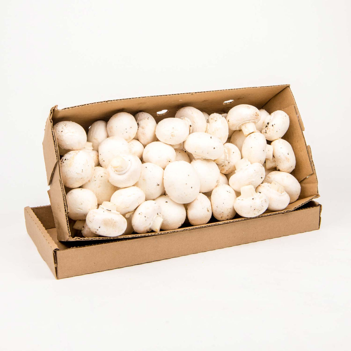 FRESH #1 MUSHROOMS 5LB – Mia Food Service