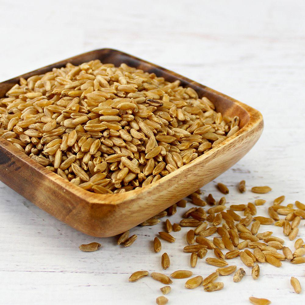 EPIGRAIN KAMUT KERNELS 2KG – Mia Food Service